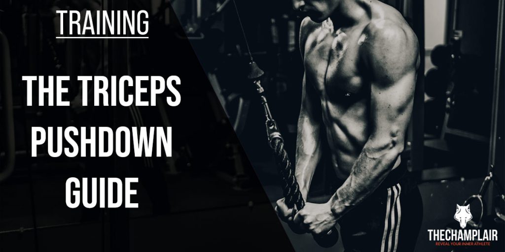 How To Do Triceps Pushdown With Proper Form? [With Videos]