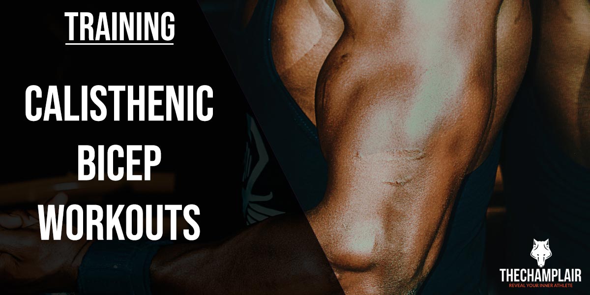 14 Calisthenic Bicep Workouts [In-Depth Exercises]