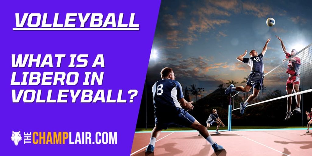 The 6 Volleyball Positions And Rotations [2025 Guide]